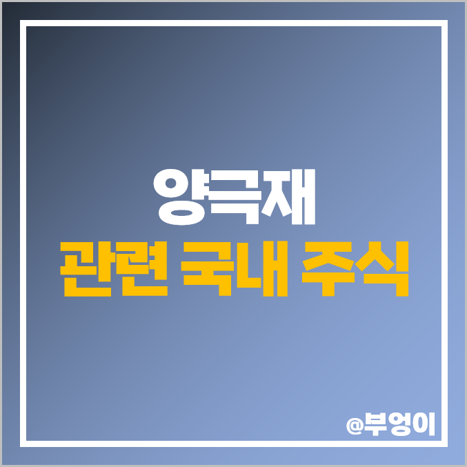 2차전지 배터리 양극재 관련주 대장주 에코프로 주식 코스모신소재 주가 네이버 블로그