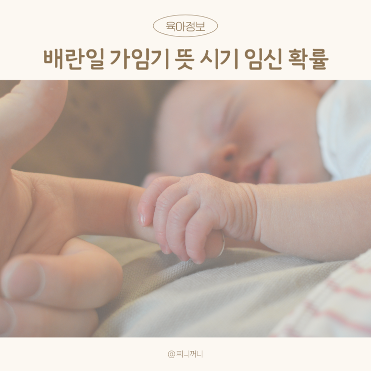 배란일 계산 가임기 뜻 시기 기간 임신가능성 임신 확률 네이버 블로그