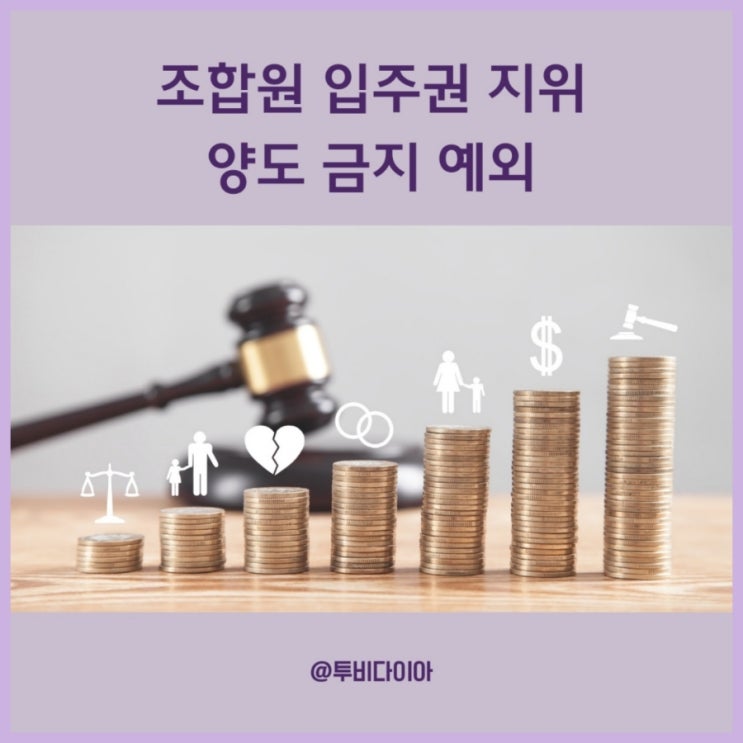 투기과열지구 조합원 입주권 지위 양도 금지 예외조항ft재건축 아파트 조합원 입주권 거래 네이버 블로그