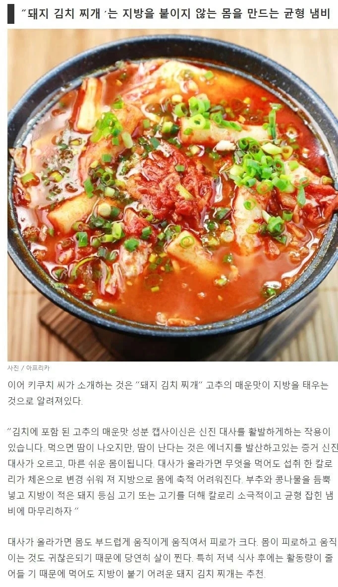 일본…의문의 한국 다이어트 음식 소개 : 네이버 블로그