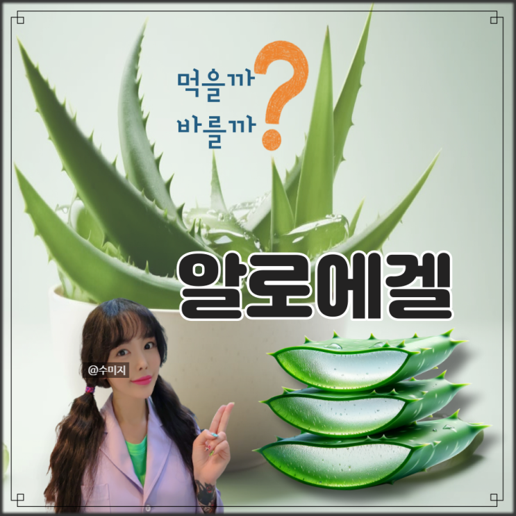 먹는 알로에 효과 효능 알로에전잎 알로에베라겔 알로에겔 효능 네이버 블로그