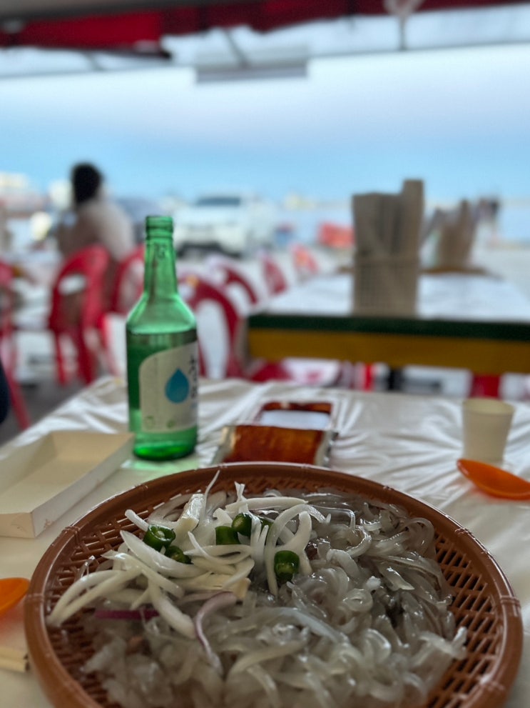 속초 오징어 난전에서 먹는 싱싱한 오징어회와 라면의 맛은? : 네이버 블로그