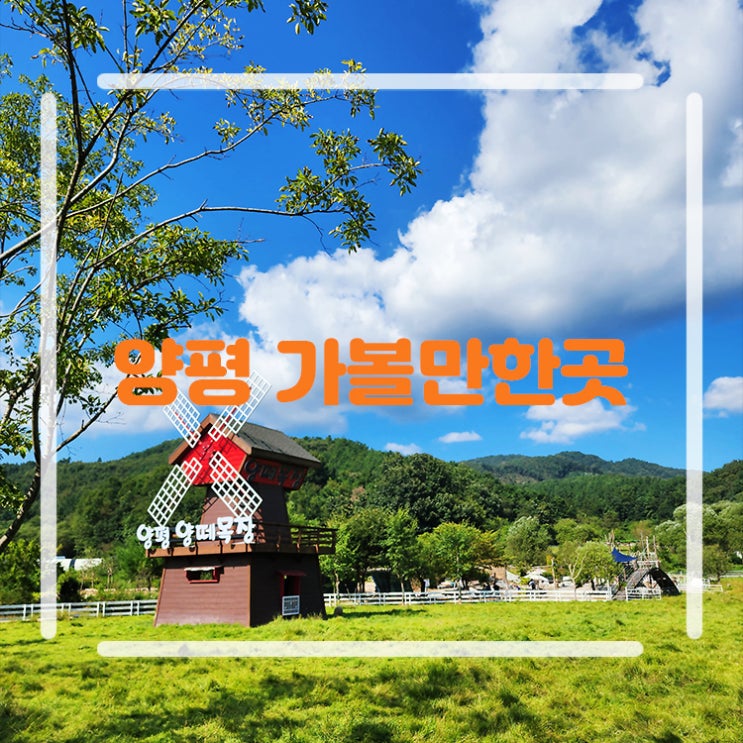 양평 가볼만한곳 서울근교 데이트 코스 두물머리 양떼목장 구둔역폐역 들꽃수목원 네이버 블로그