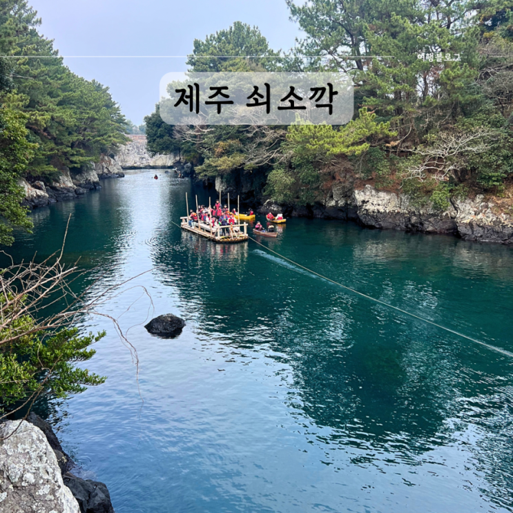 제주도 쇠소깍 나룻배 카약 테우 예약방법 요금 주차 하효쇠소깍해수욕장 서귀포 놀거리 네이버 블로그