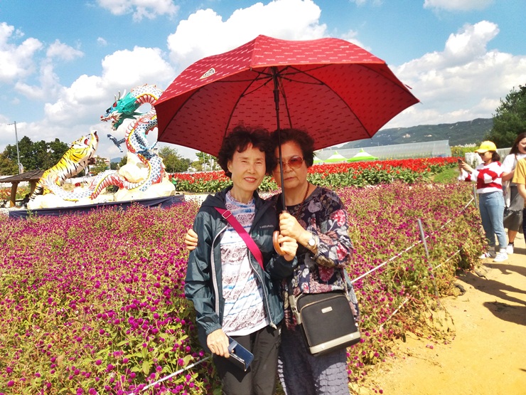감사하면 감사할 일만 생깁니다 : 네이버 블로그
