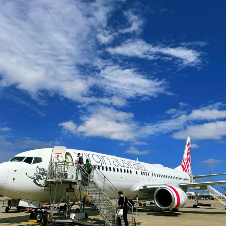 호주여행 🇦🇺 Day10 이 여행의 끝을 잡고 빅토리아마켓 내셔널갤러리 시드니공항 인천공항 네이버 블로그