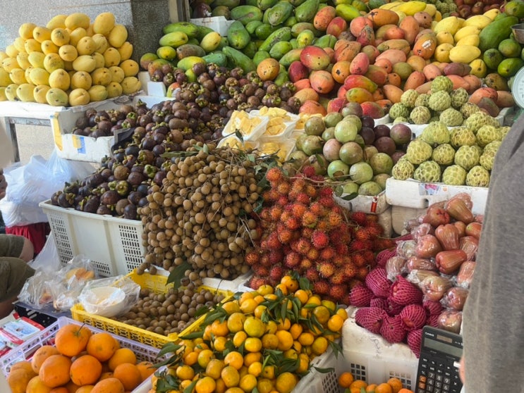베트남 나트랑 여행 (맛집, 과일 사는 곳, 환전, 기념품, 마사지 등등) : 네이버 블로그
