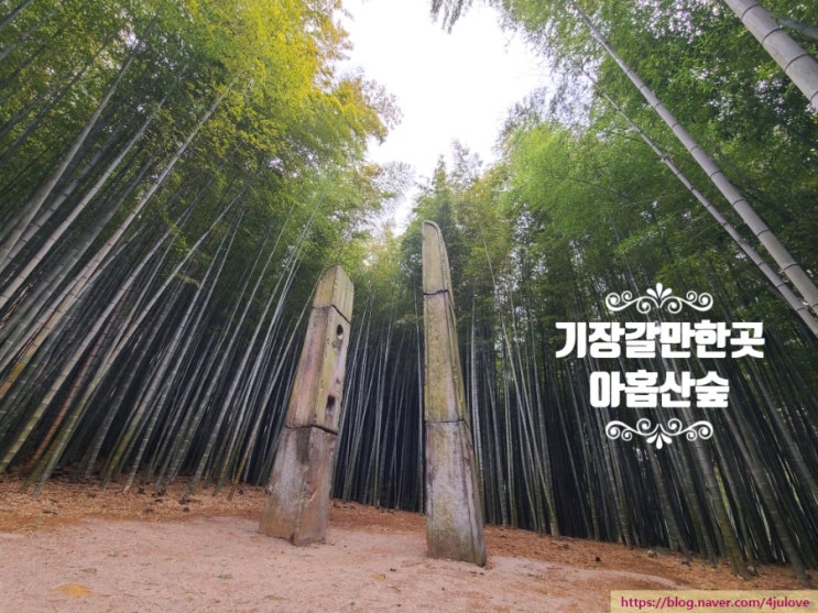 아홉산숲 부산 기장 철마 가볼만한 곳 입장료 예매 산책코스 사진명소 And 영화 드라마 촬영 명소 대나무 숲 부산 기장
