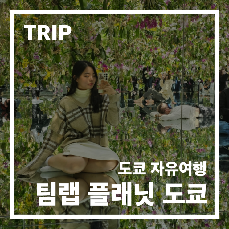 도쿄 미디어 아트 전시의 끝판왕 팀랩 플래닛 도쿄 후기예약 입장권 복장 꿀팁 네이버 블로그