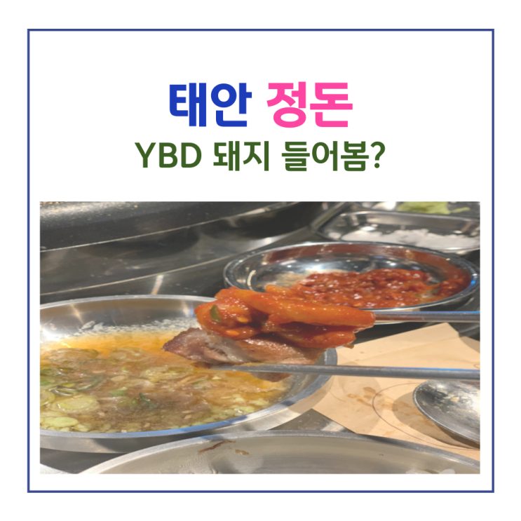 태안 정돈에서 YBD 돼지 삼겹살 먹어본 후기 : 네이버 블로그