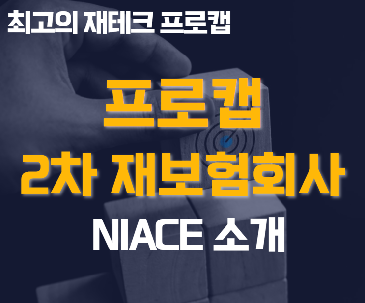 혁신적인 글로벌 금융보험 프로캡의 2차 재보험 회사 NIACE 소개 (National Insurance Aliance ...