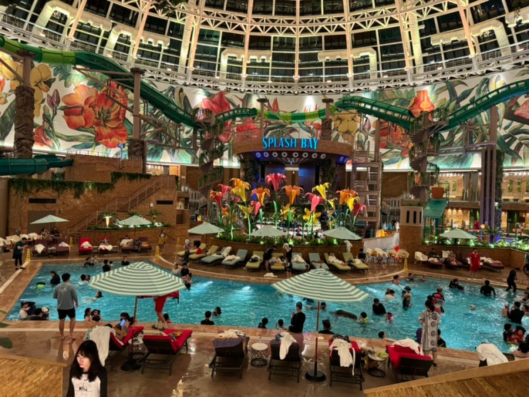 인스파이어 리조트 워터파크 스플래쉬 베이 And 가든 팜 카페 조식 Splash Bay And Garden Farm 네이버 블로그
