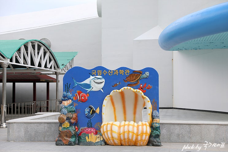 기장 갈만한곳 부산 국립수산과학원 국립수산과학관 기장 놀거리 네이버 블로그