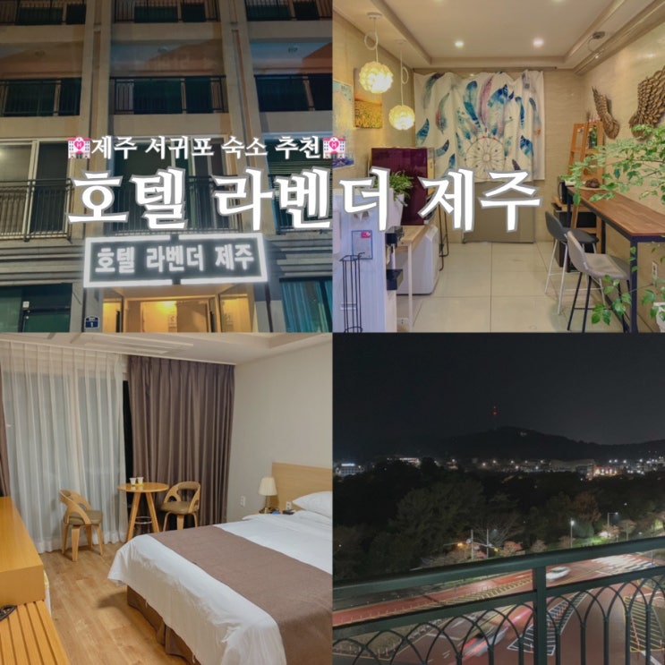 제주도 혼자여행 숙소 서귀포 모텔 올레시장 호텔 라벤더 제주 네이버 블로그
