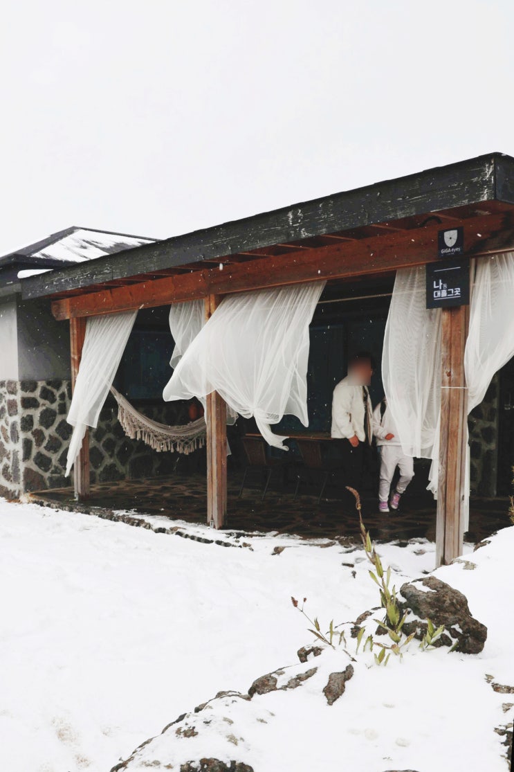 제주도 독채 펜션 가족 숙소 제주 펜션 조천 가족여행 코스 추천 네이버 블로그