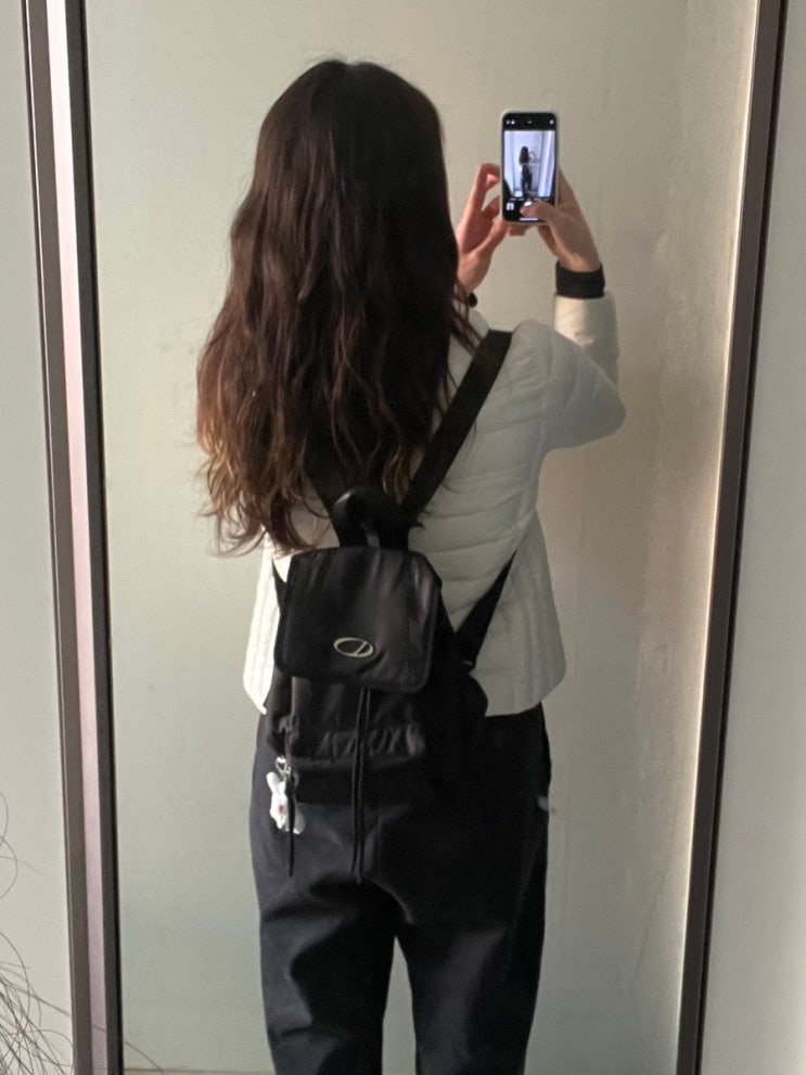 [Odd Studio] 오드 스튜디오 오드 시그니처 스몰 백팩 후기 : 네이버 블로그