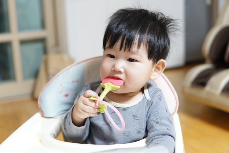 치발기사용시기 필수품 앙쥬 바나나 딸기 기린 치발기 세트 네이버 블로그
