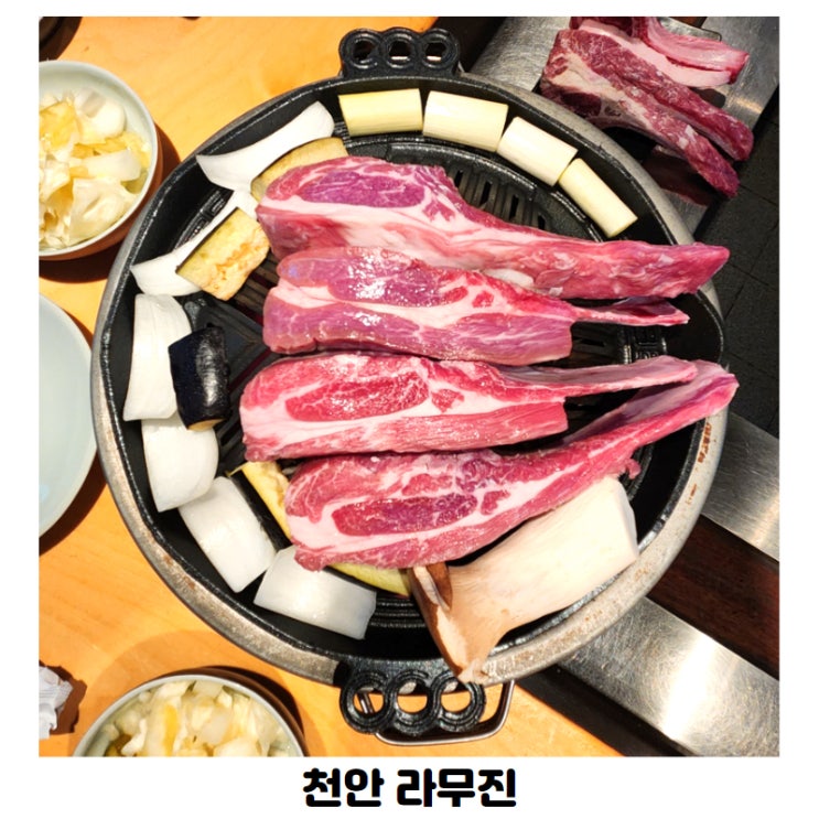 천안 청당동 라무진 프렌치랙 잡내 없는 양고기 양갈비 맛집 네이버 블로그