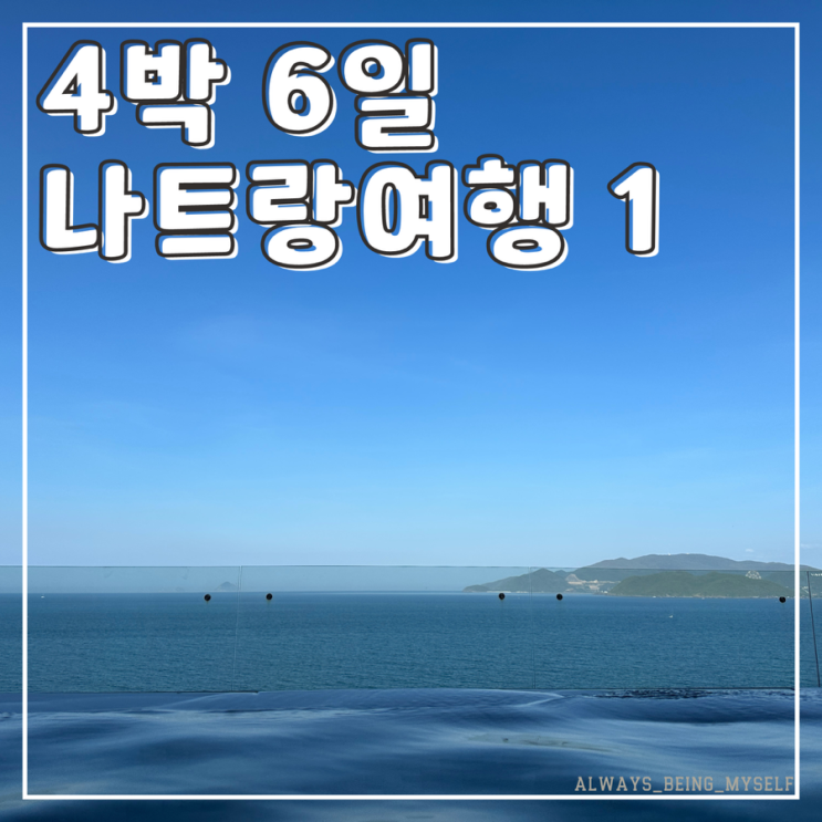 4박 6일 나트랑 여행 1~2일차 깜란공항 패스트트랙 깜란공항 유심 깜란공항 환전 나트랑 쉐라톤호텔 인피니티풀 김천