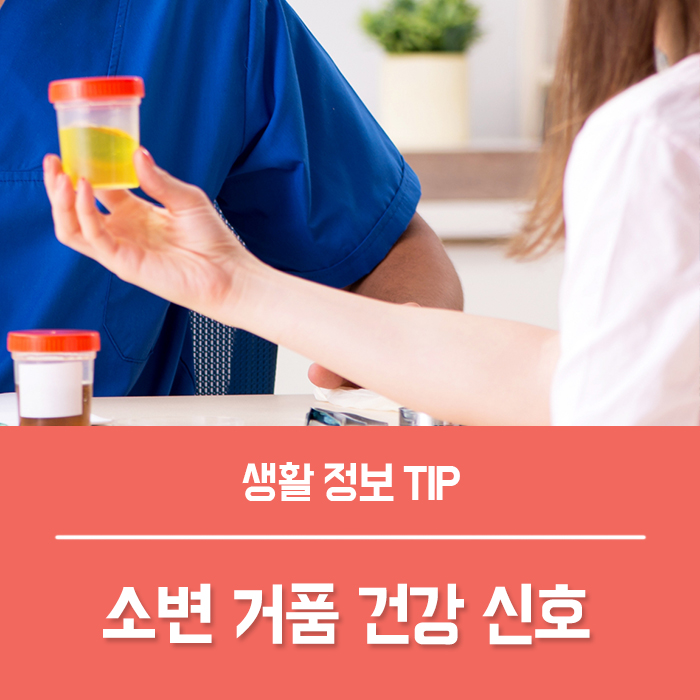 남자 여자 소변 거품 거품뇨 단백뇨 원인과 대처 소변 냄새 건강 신호 네이버 블로그
