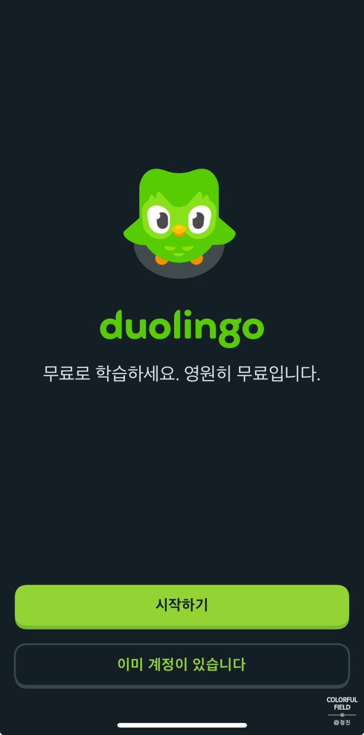 후기 직장인 무료 영어 중국어 외국어 회화 학습 어플 추천 및 활용 꿀팁 짜투리 시간 활용 자기계발 앱 네이버 블로그