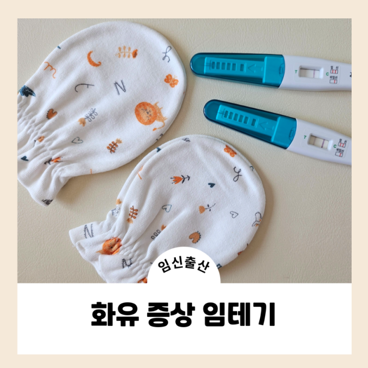 화유증상 뜻 시기 원인 통증 임테기 화학적유산 후 바로임신 네이버 블로그