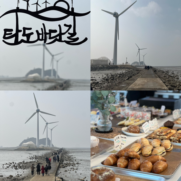 경기안산1박2일여행 2일차 전현무 나혼자산다 킹더랜드 촬영지 탄도항~누에섬 서해바닷길 산책 네이버 블로그