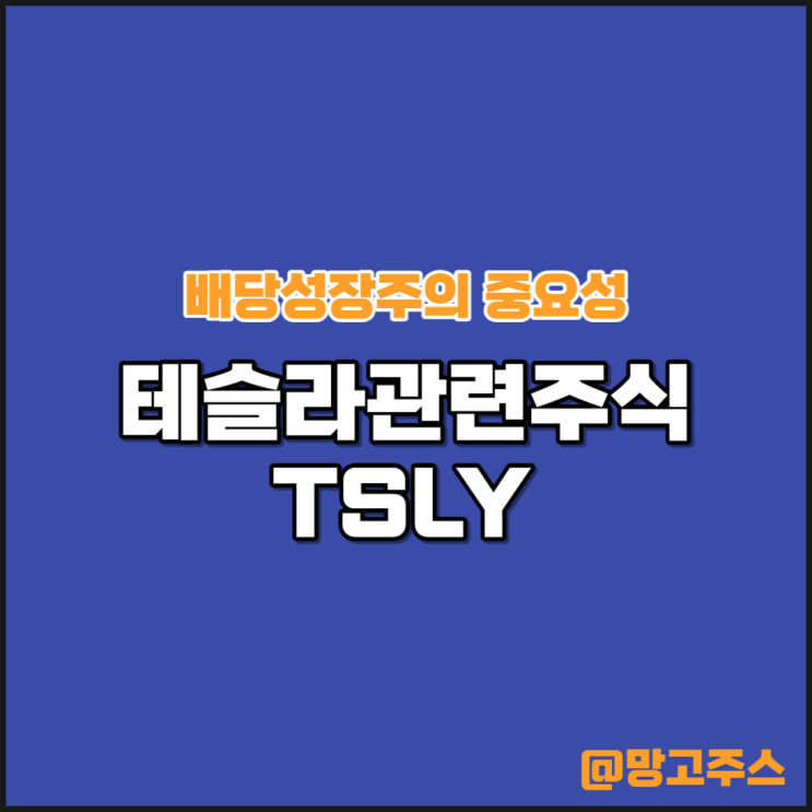 배당성장주의 중요성, 테슬라관련주식 TSLY : 네이버 블로그