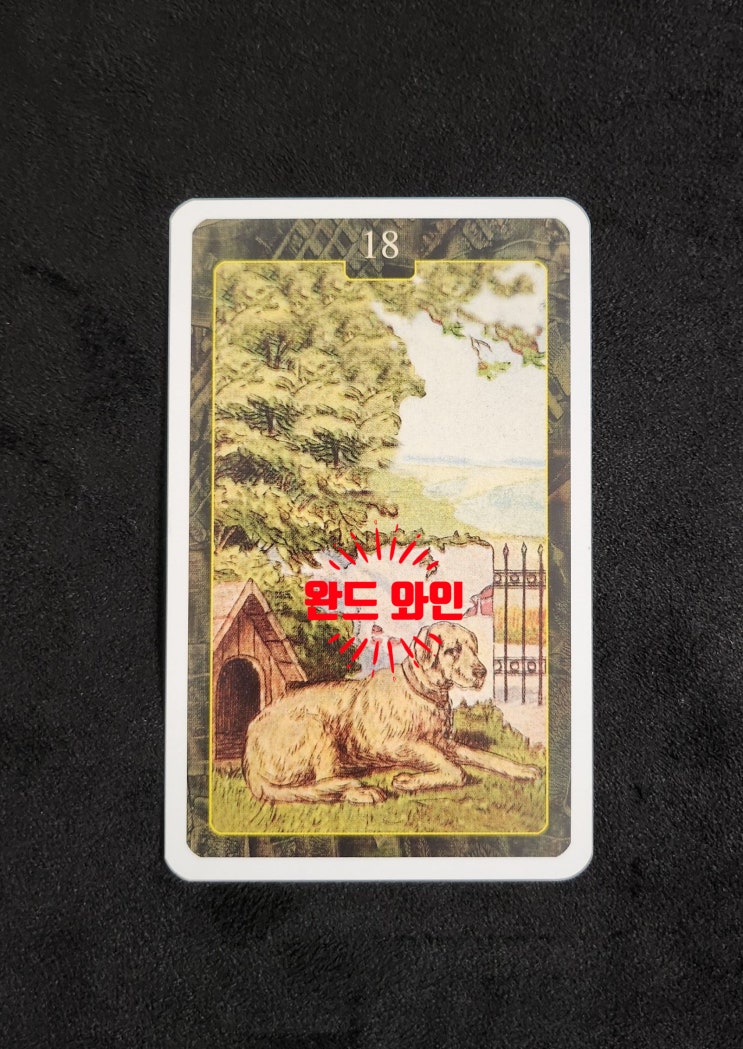 [레노먼드 오라클 카드/Lenormand Card] 18. Dog 개 조합 풀이 : 네이버 블로그