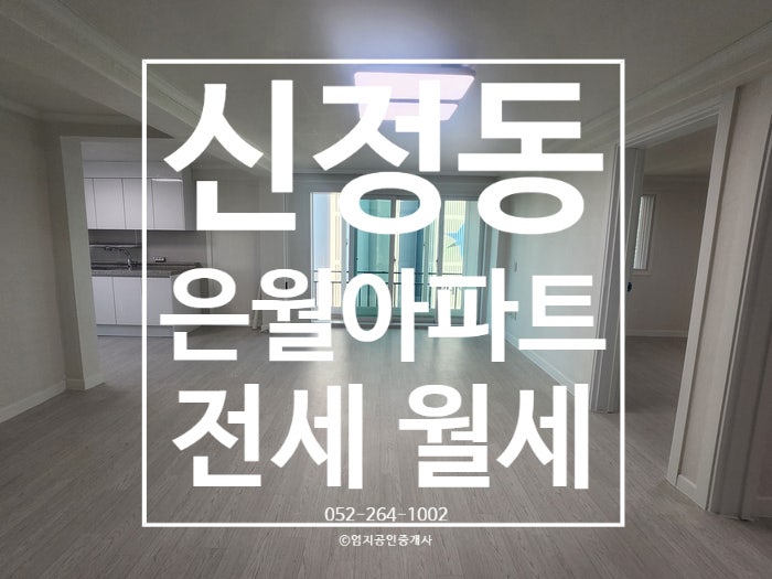 울산 남구 신정동 은월 아파트 월세and전세 신정초 인근 수리잘된 집 네이버 블로그