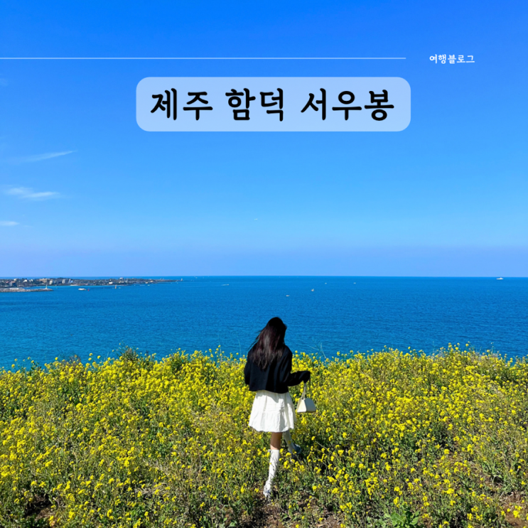 3월 제주도 여행 함덕해수욕장 해변 함덕 서우봉 유채꽃 개화상황 위치 주차 제주 유채꽃 명소 네이버 블로그
