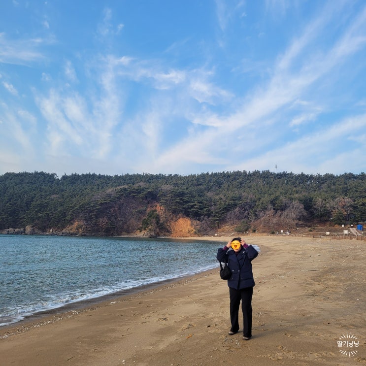 바다와파도소리 태안 오션뷰펜션 캠핑장 1박2일 여행 후기 네이버 블로그