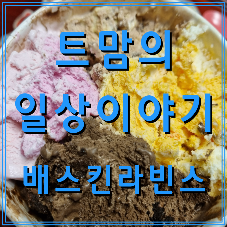 골라 먹는 재미가 있는 배스킨라빈스 쿼터 뽀개기드래곤볼 아빠는딸바봉 팥붕슈붕 쫀꾸렛 네이버 블로그