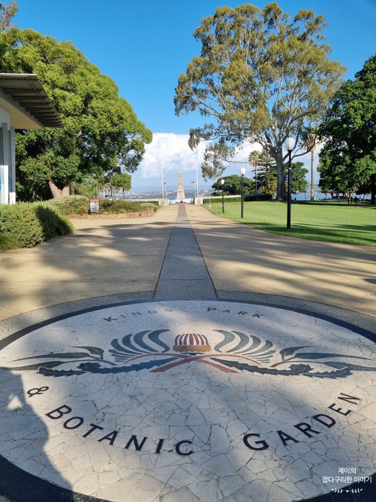 [퍼스 #5] 블루캣 버스로 무료로 갈 수 있는 퍼스 핵심 관광지! 킹스 파크! (Perth Kings Park) : 네이버 블로그