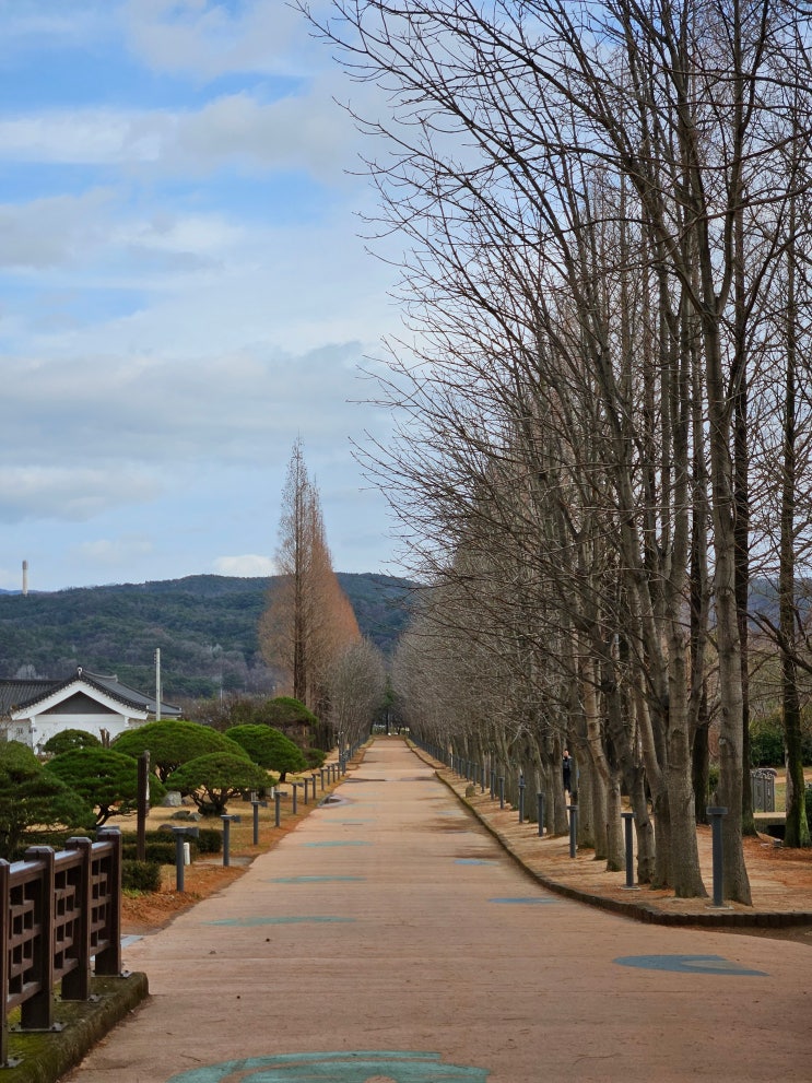 경주 가볼만한곳 추천 경북천년숲정원 외나무다리 주차 네이버 블로그