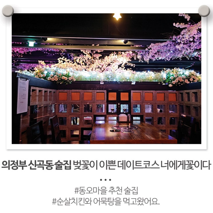 의정부 신곡동 술집 벚꽃이 이쁜 데이트코스 너에게꽃이다 : 네이버 블로그