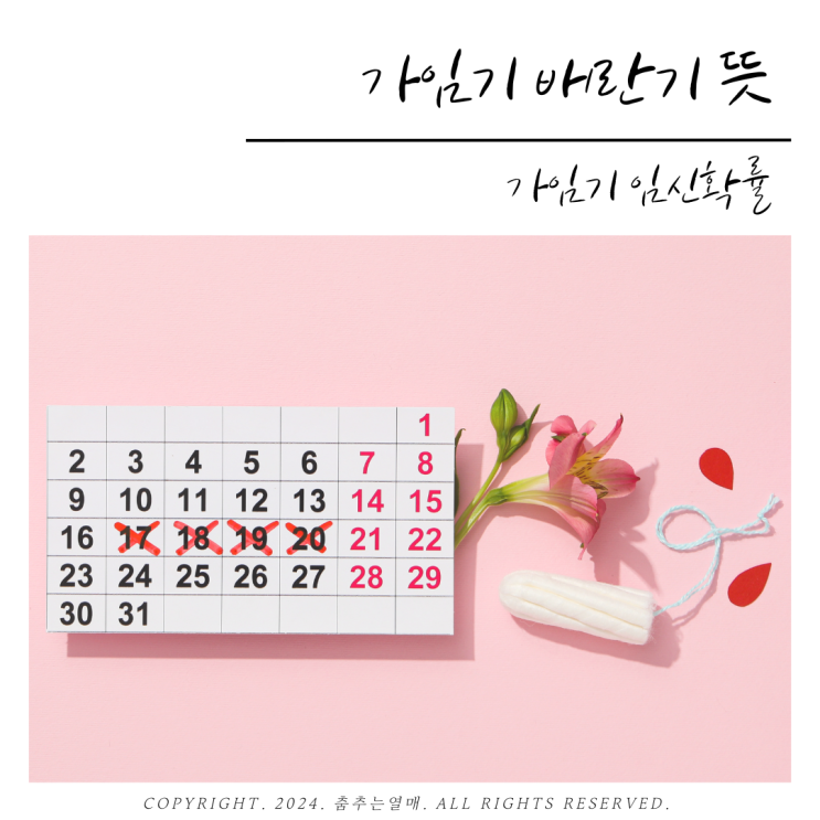 배란일 가임기 뜻 배란기 기간과 증상 가임기때 임신확률 알아보기 네이버 블로그