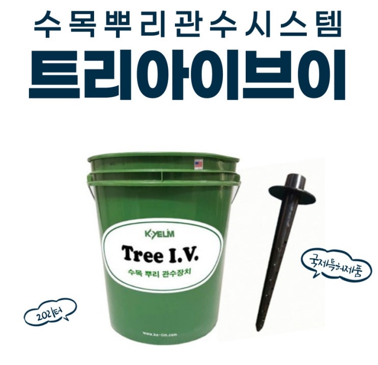 수목물주머니 트리아이브이 tree i.v 시공방법 : 네이버 블로그