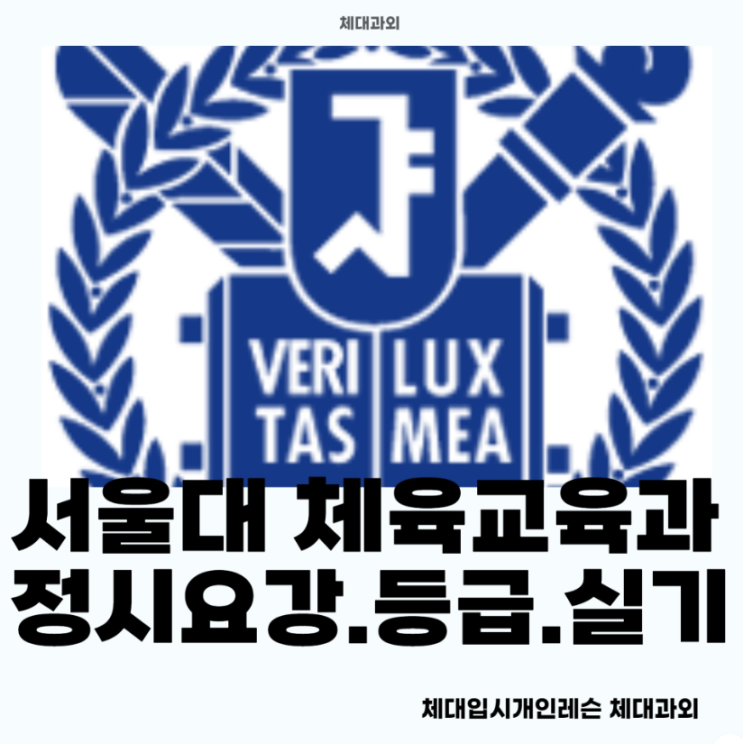 서울대 체육교육과 합격 정시 등급 실기 개인레슨 네이버 블로그