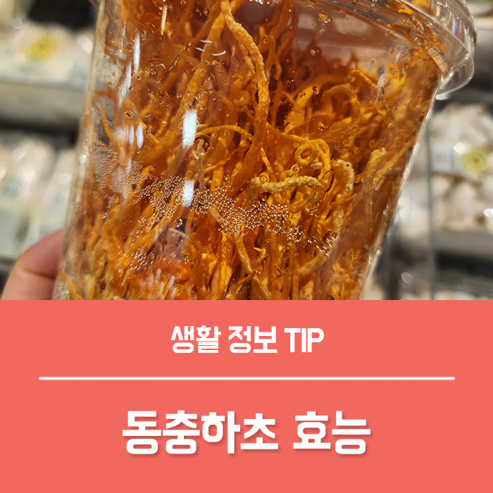 동충하초 효능 5가지 동충하초 버섯 보관법 부작용은 네이버 블로그