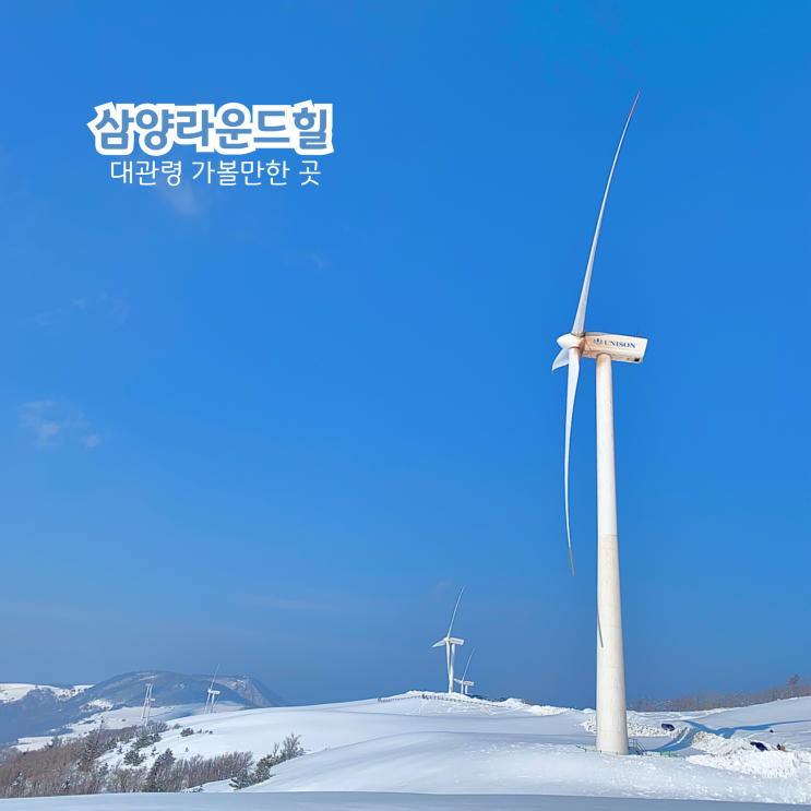 강원도 대관령 삼양목장 삼양라운드힐 입장료 할인 날씨 준비물 필독 네이버 블로그