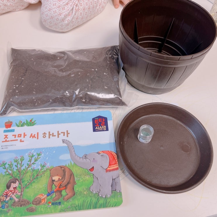 집에서 대파 키우기 아이랑 대파 심기 대파 심는 방법 파테크하기 수경재배로 옮겨 신기 네이버 블로그