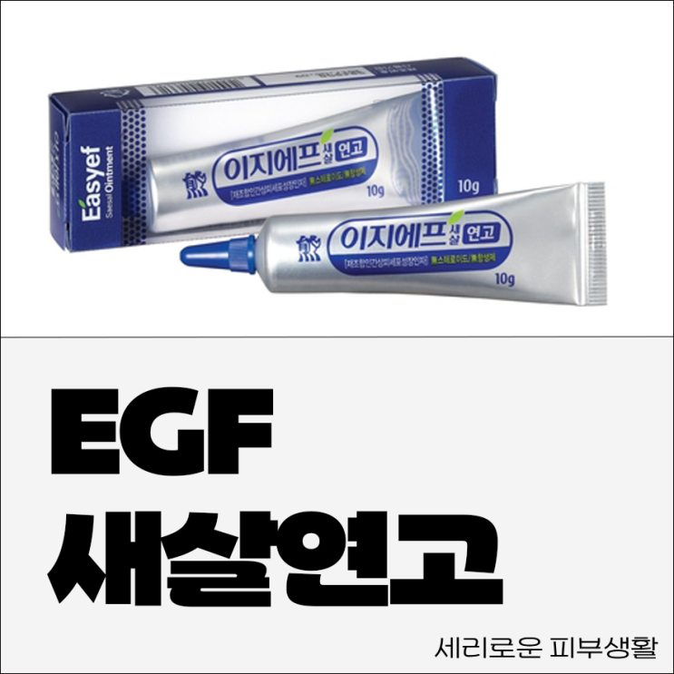 Egf 새살연고 성분 효능 가격 사용법 총정리 네이버 블로그