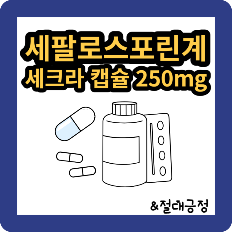 세파계 세팔로스포린계 항생제 세크라캡슐250mg 효능 효과 용법 부작용 네이버 블로그