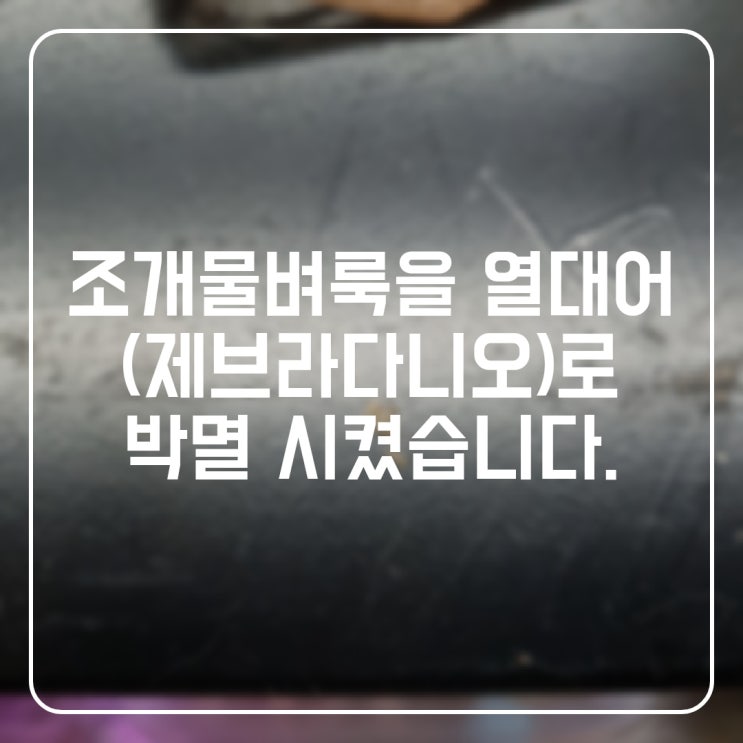 조개물벼룩을 열대어(제브라다니오)로 박멸 시켰습니다. : 네이버 블로그