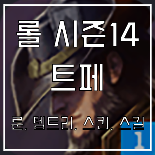 트페 룬 스킨 템트리 공략 네이버 블로그