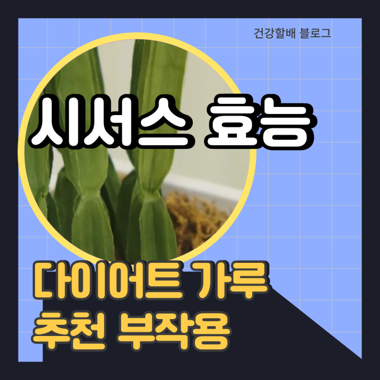 시서스 효능 다이어트 가루 추천 부작용 네이버 블로그
