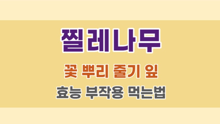 찔레 나무 열매 꽃 뿌리 줄기 잎 효능 부작용 먹는 방법 네이버 블로그