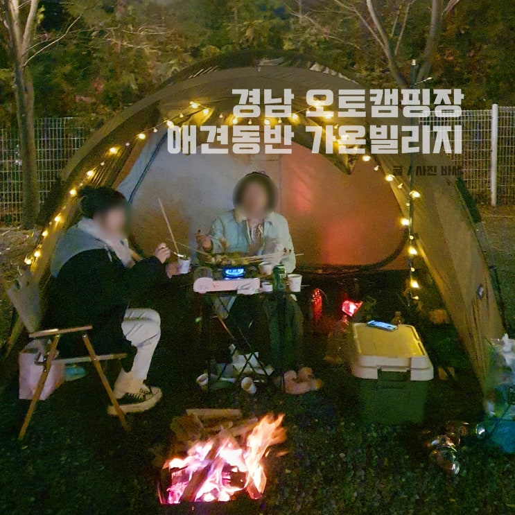 경남 캠핑장 밀양 가온빌리지 오토 캠핑장 애견동반 네이버 블로그