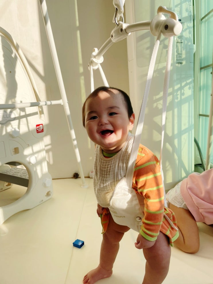 생후8개월아기발달 8개월아기장난감 놀아주기 이유식 분유량 잠투정 육아일기 네이버 블로그